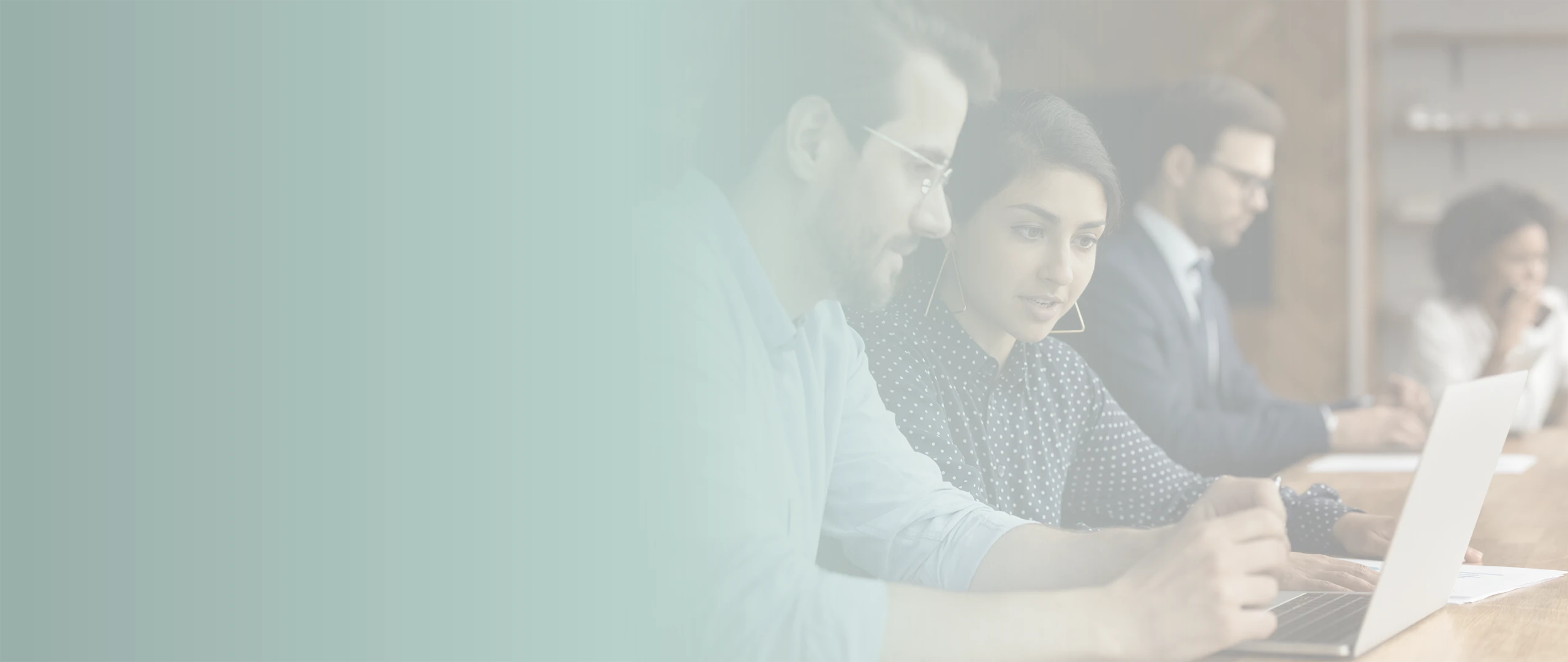 Partners and Partnership Program | Striven